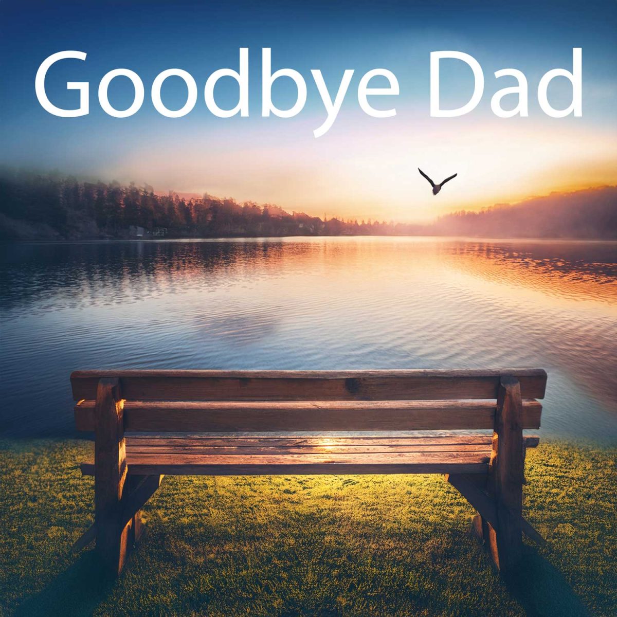 Goodbye Dad – A Heartfelt Tribute Song of Love Loss and Reflection
